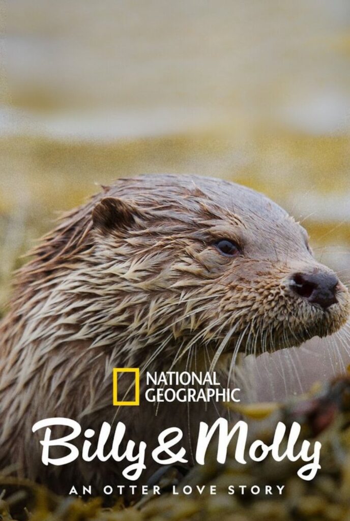 SXSW Review: “Billy & Molly: An Otter Love Story” | Film Festival Today