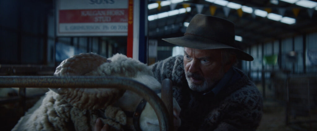 Film Review: Australian “Rams” Mostly Does Icelandic Original Proud ...