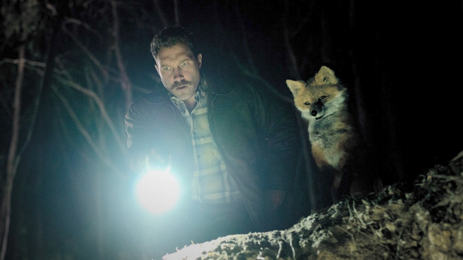 SXSW Review: “The Fox” | Film Festival Today