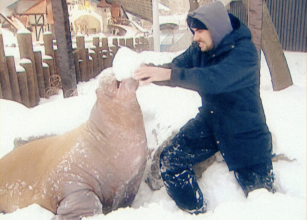 Film Review: “The Walrus and the Whistleblower” Sheds Light on the ...